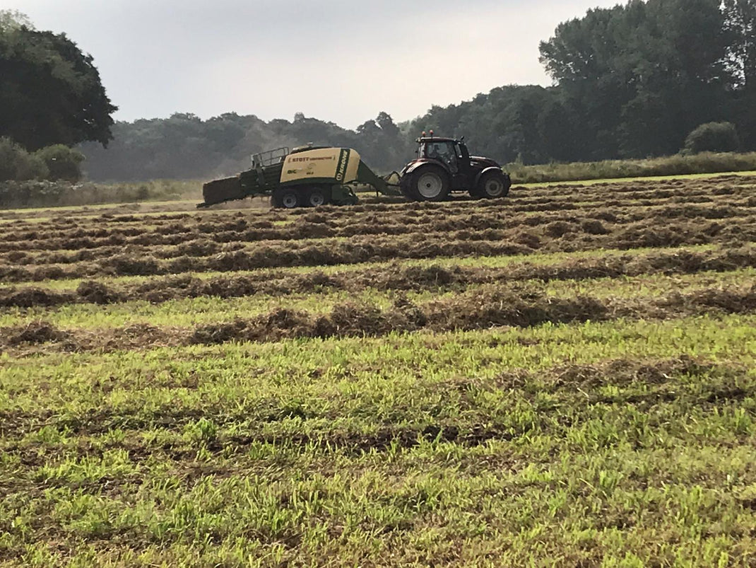 Hay Box | Farm Fresh Hay Delivered Directly | Boxfullofhay.co.uk