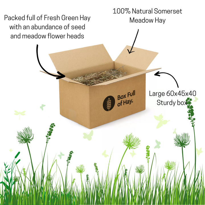 Hay Boxes | Meadow Hay Boxes | Premium Pet Hay – Boxfullofhay